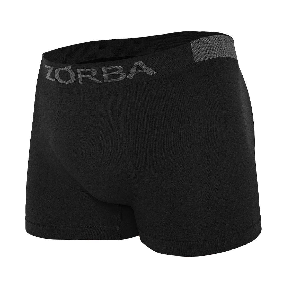 Kit 6 Cuecas Zorba Boxer Extreme Sport sem Costura Microfibra 836 | Zorba