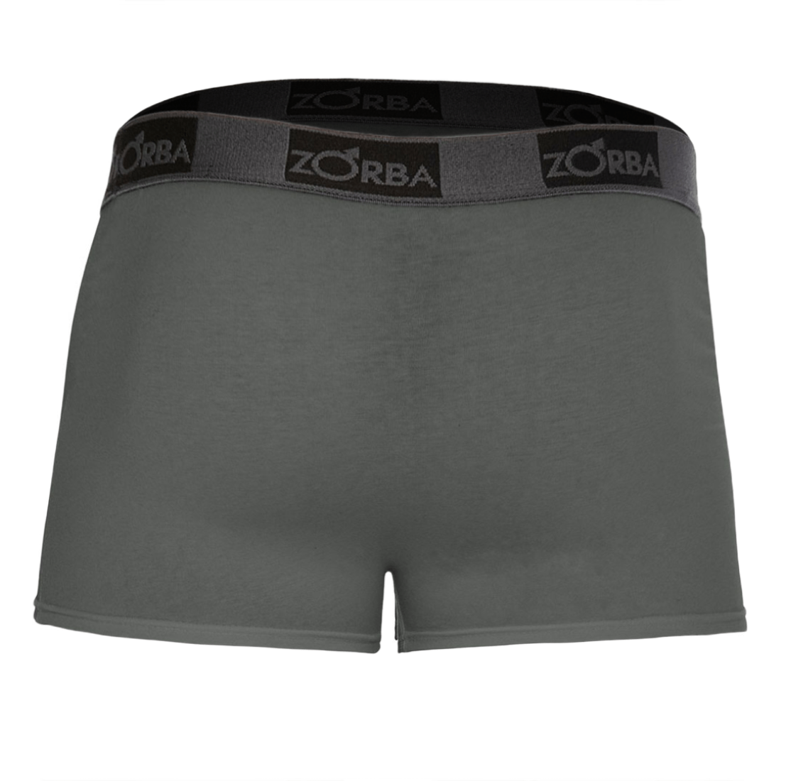 Kit 6 Cuecas Zorba Boxer Plus 717 | Zorba